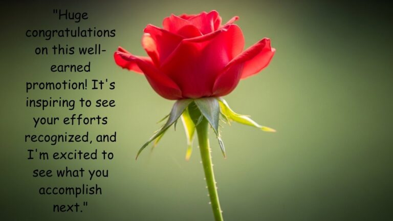 60+ Congratulations Messages for Promotion Success