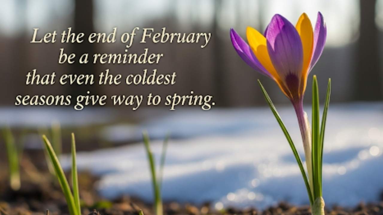 20+ End of February Quotes to Welcome March