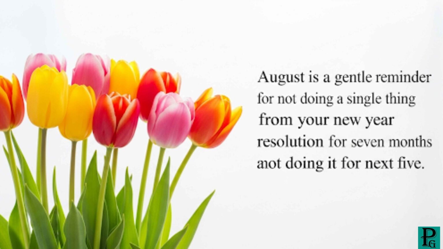 30+ Goodbye August Quotes and Messages