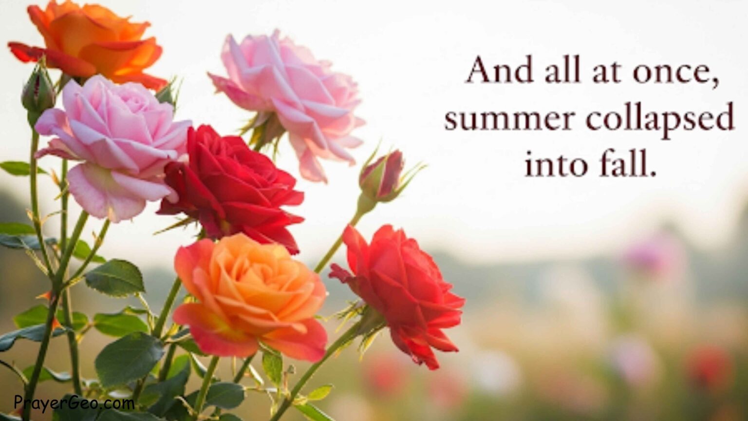 30+ Goodbye August Quotes and Messages