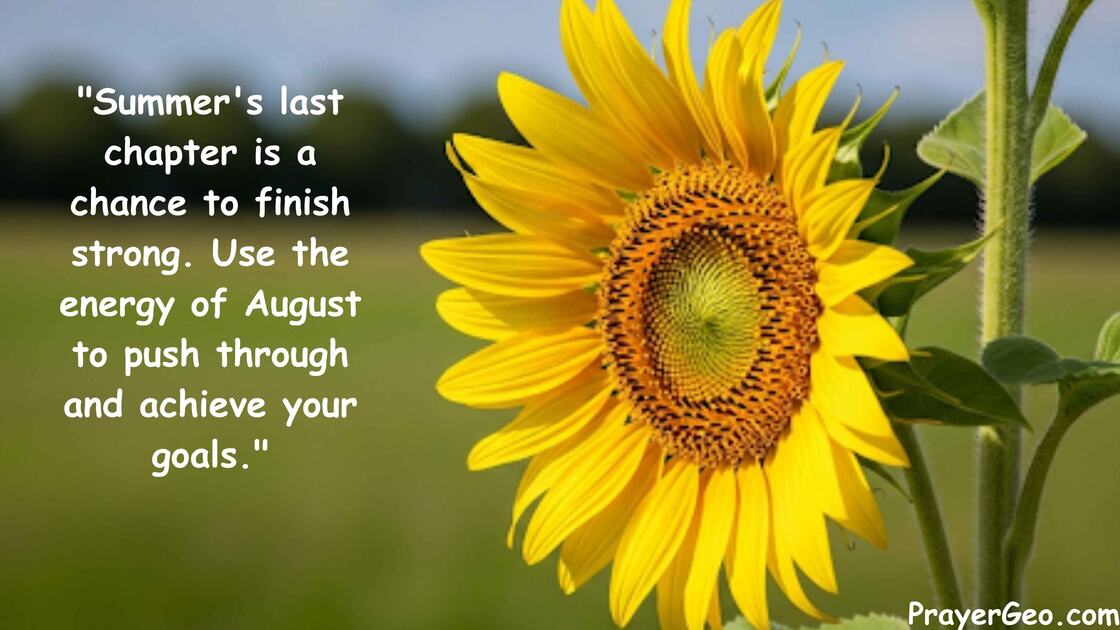 40+ Inspirational August Quotes and Messages