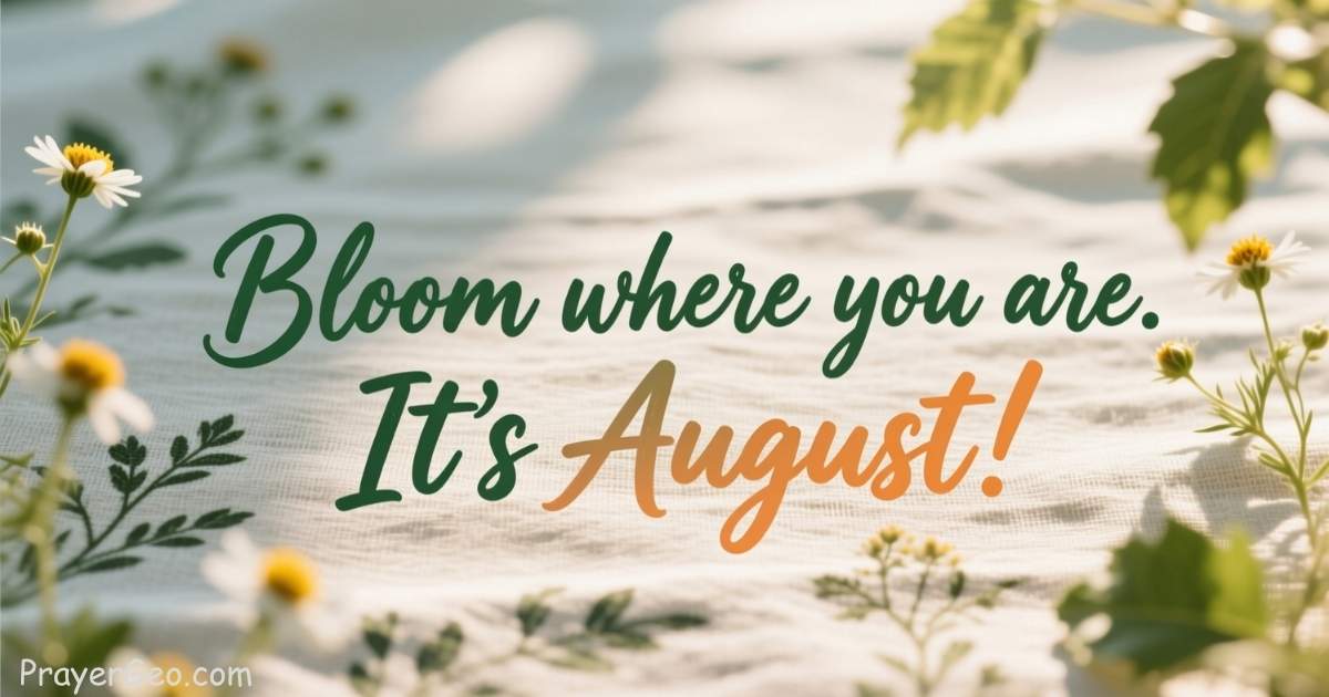 Best 45+ Short August Quotes and Messages