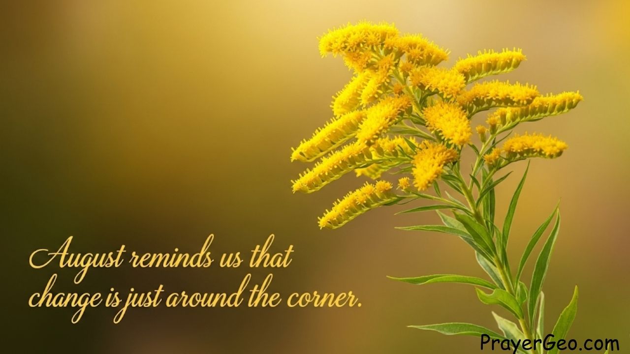 Best 45+ Short August Quotes and Messages