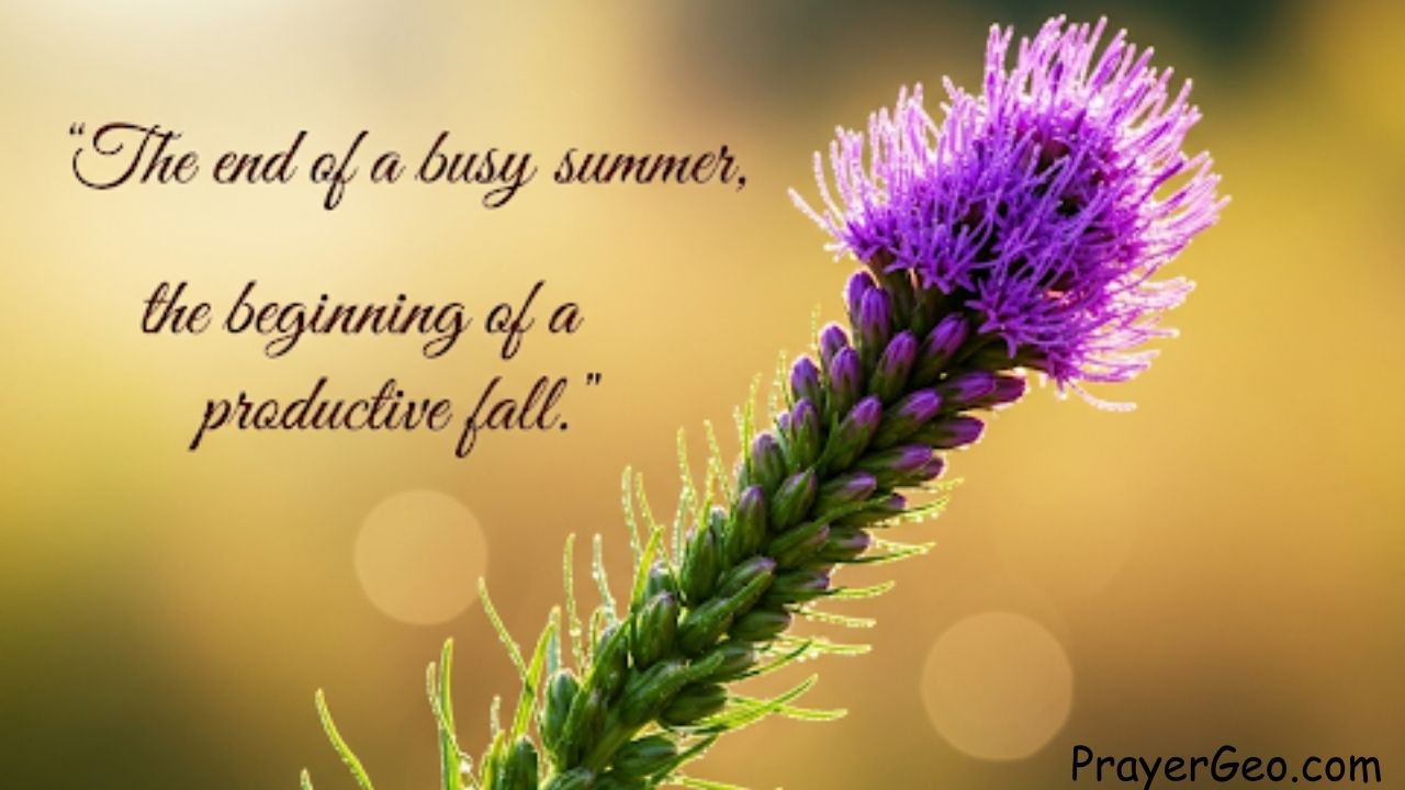 Best 45+ Short August Quotes and Messages