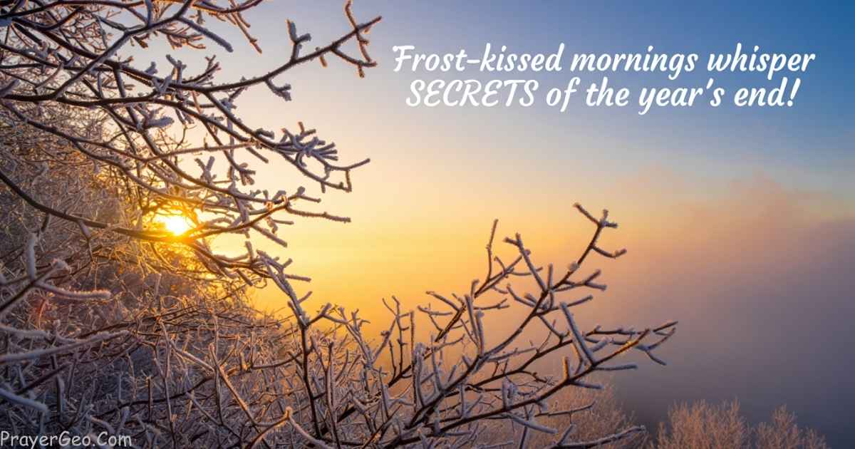 55+ Good Morning December Quotes and Messages
