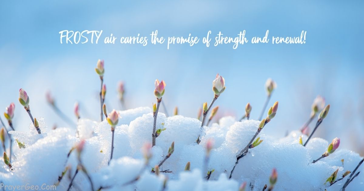 55+ Good Morning December Quotes and Messages